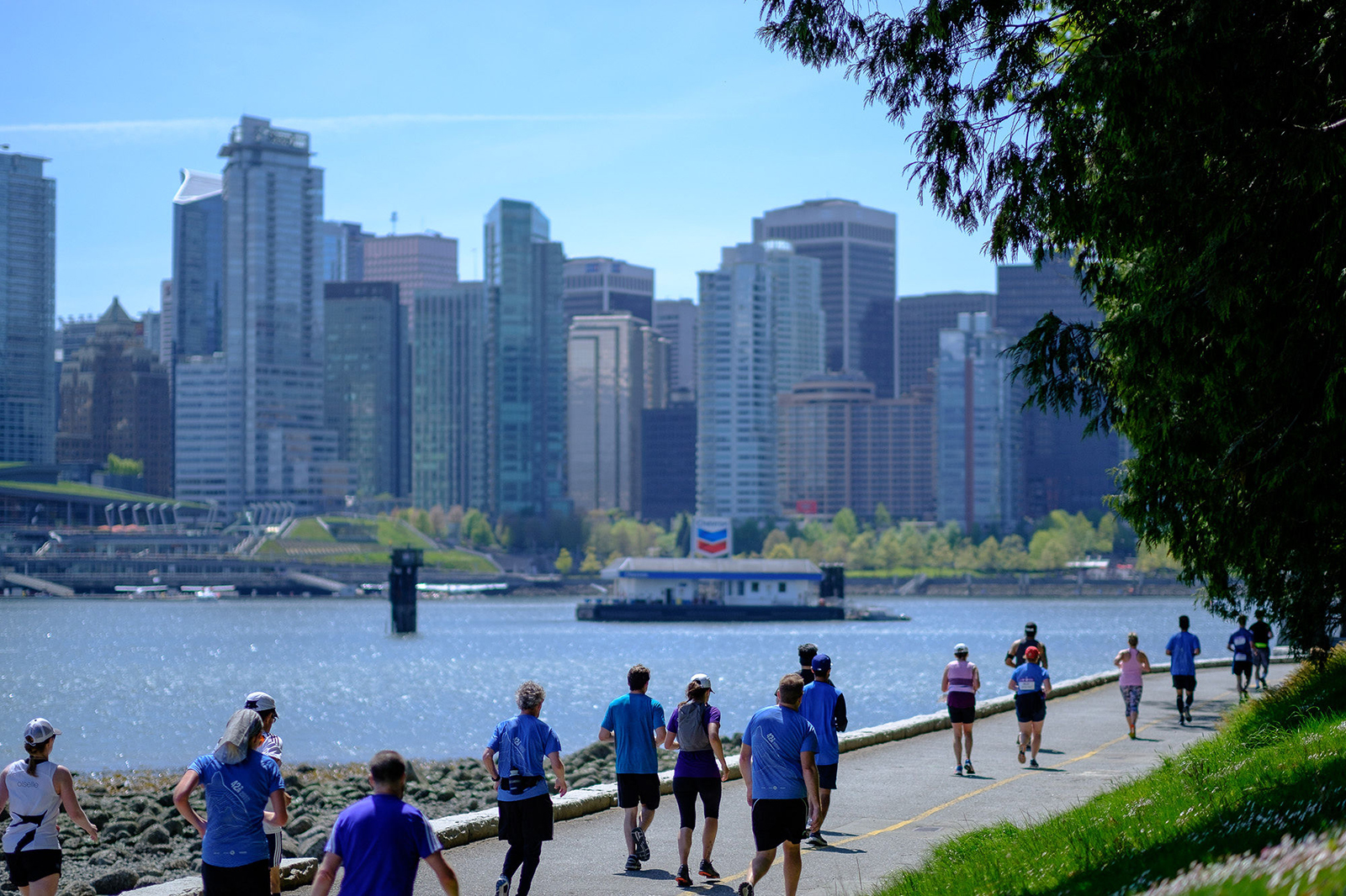 Gallery – BMO Vancouver Marathon | RUNVAN®