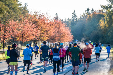 Great Trek by Blueshore Financial 2024 | RUNVAN®